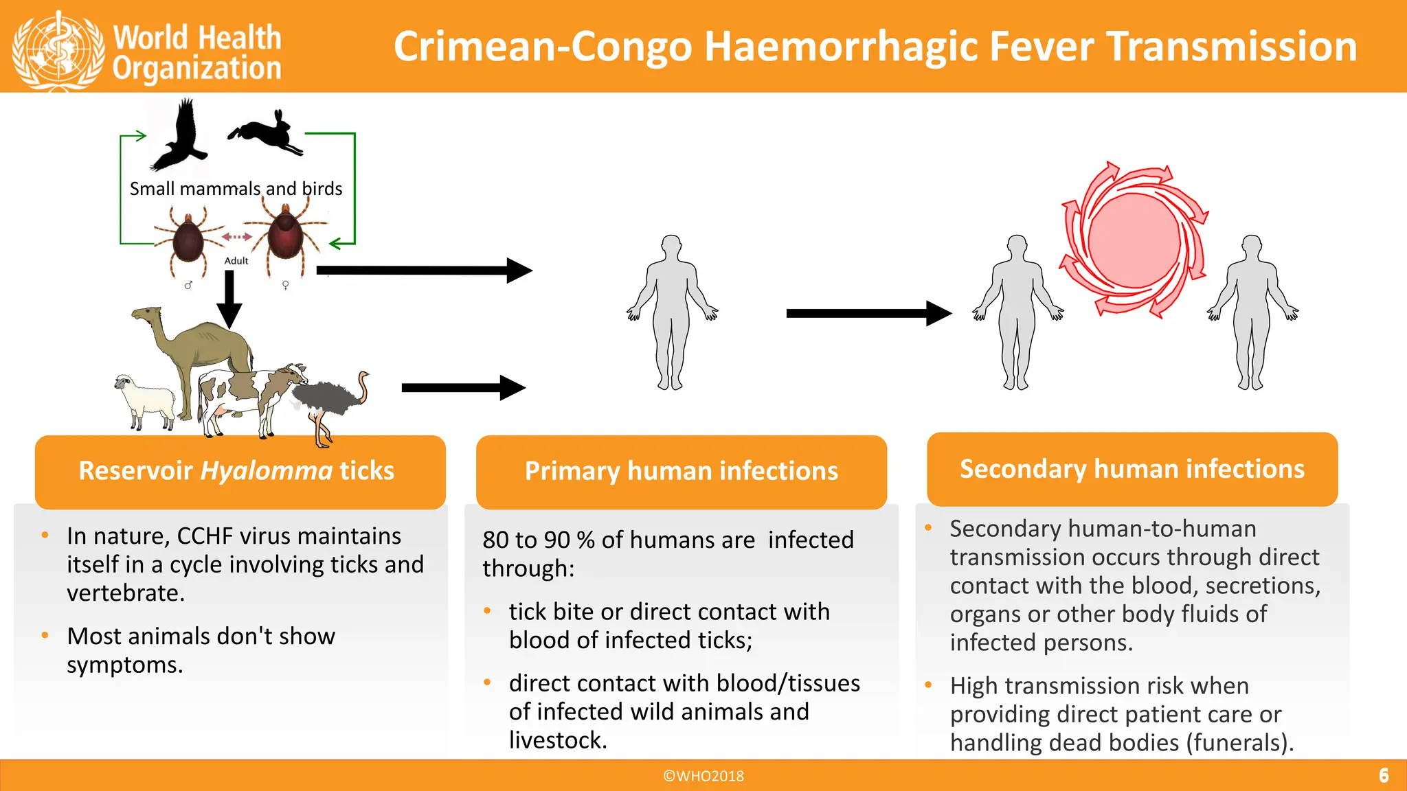 introduction-to-crimean-congo-haemorrhagic-fever.pdf