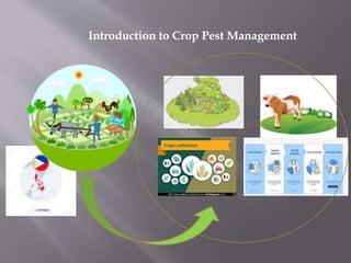 Introduction to-crop-pest-management | PPT