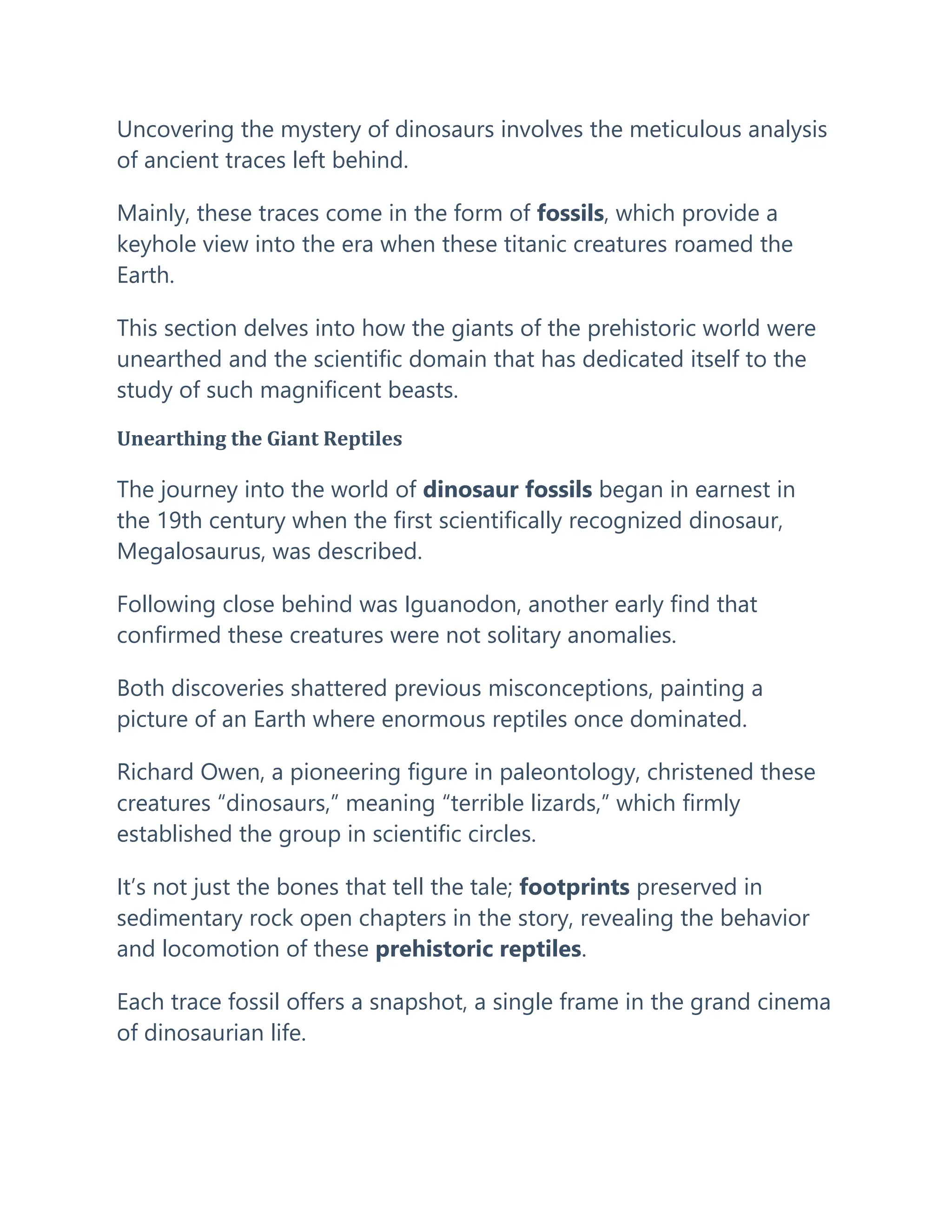 An Introduction to Dinosaurs | DOCX