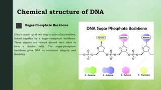 Introduction-to-DNA | Discovery | Chemical Structure | PPT