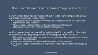 Introduction to Enterprise Agile Frameworks | PDF