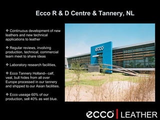 Enviromental Friendly Leather Manufacturer | PPT