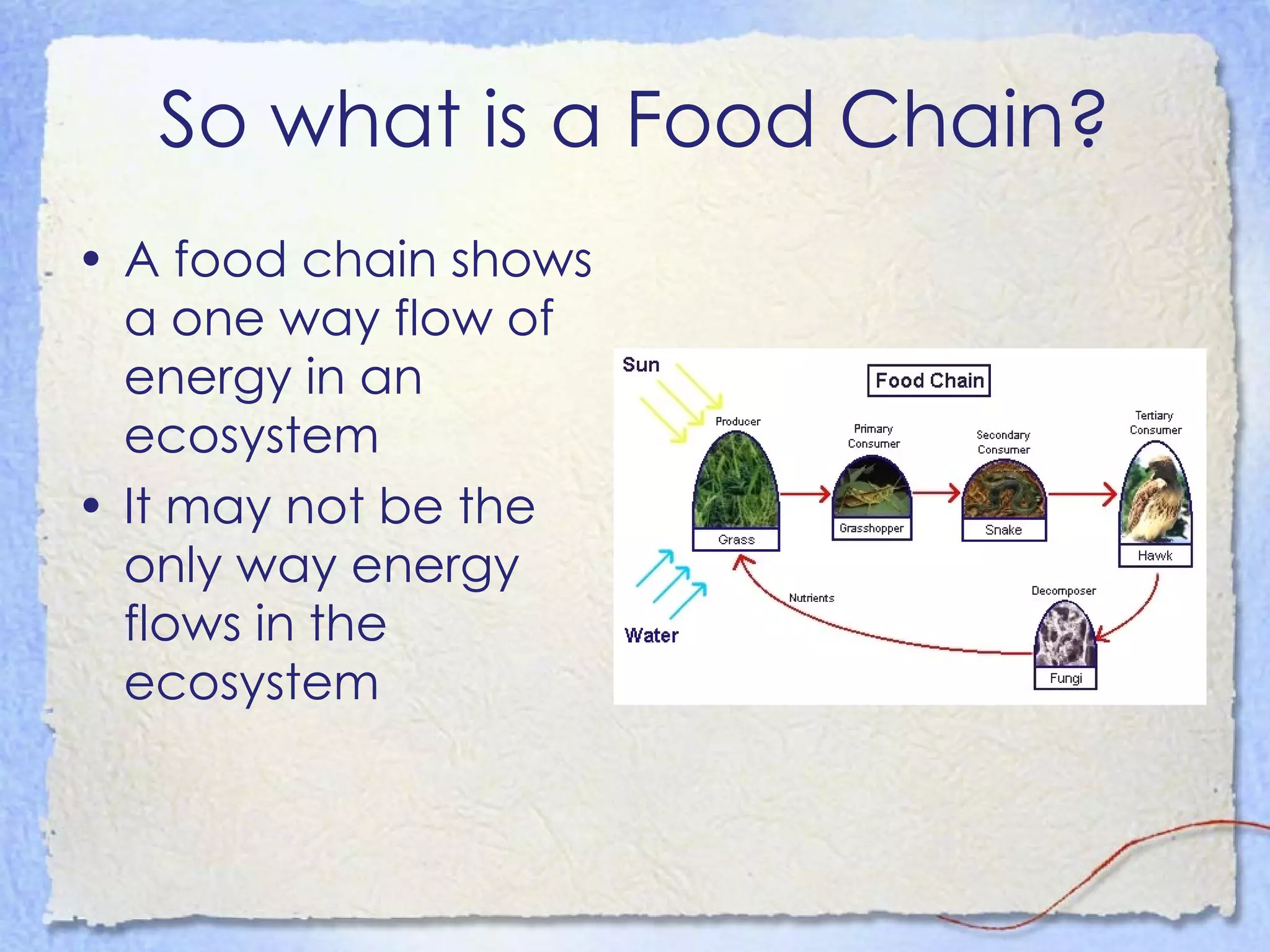 Introduction To Ecology | PPT