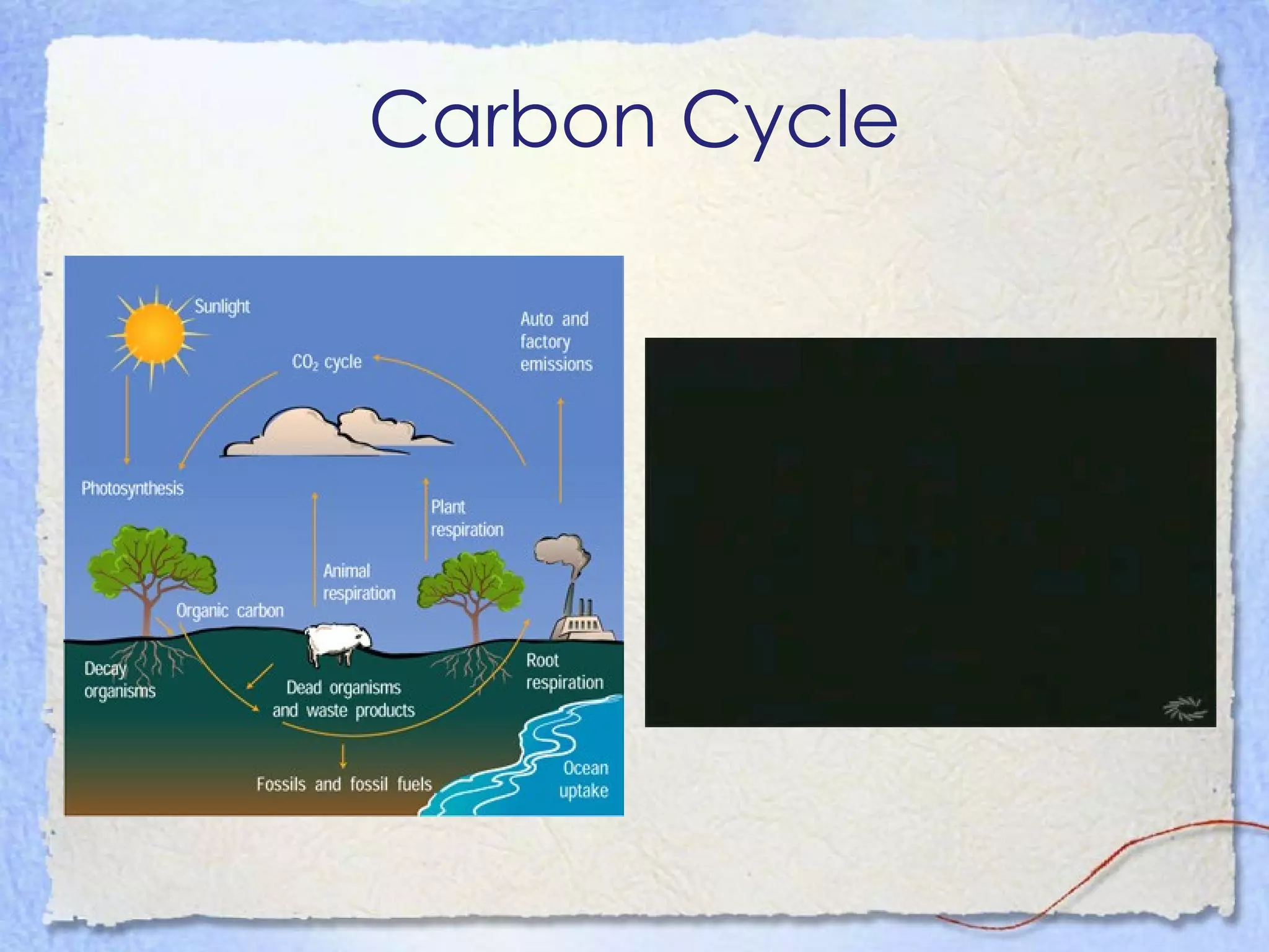 Introduction To Ecology | PPT