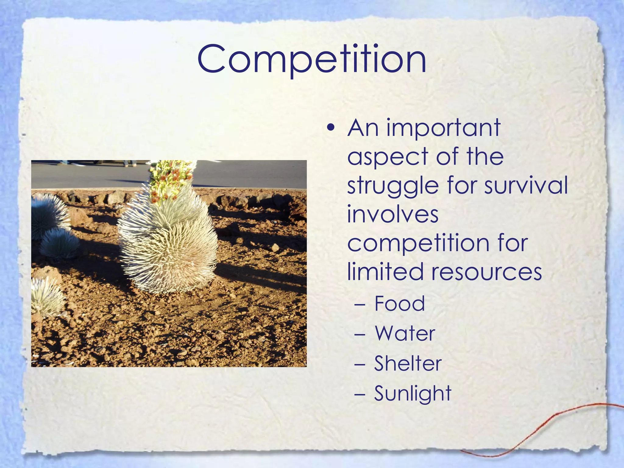 Introduction To Ecology | PPT