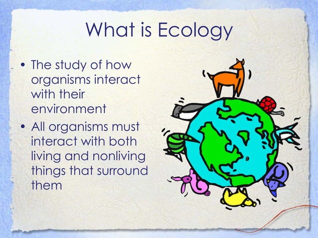 Introduction To Ecology | PPT