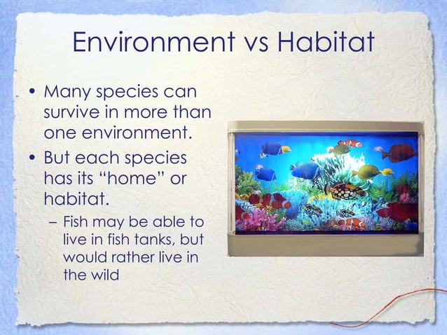 Introduction To Ecology | PPT