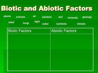 Ecosystems 1 Introduction | PPT