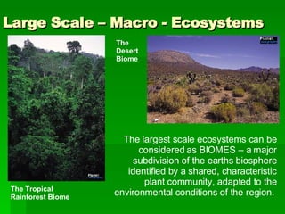 Ecosystems 1 Introduction | PPT | Environment | Science