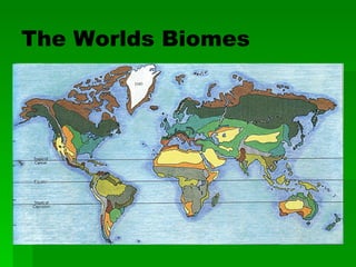 Ecosystems 1 Introduction | PPT