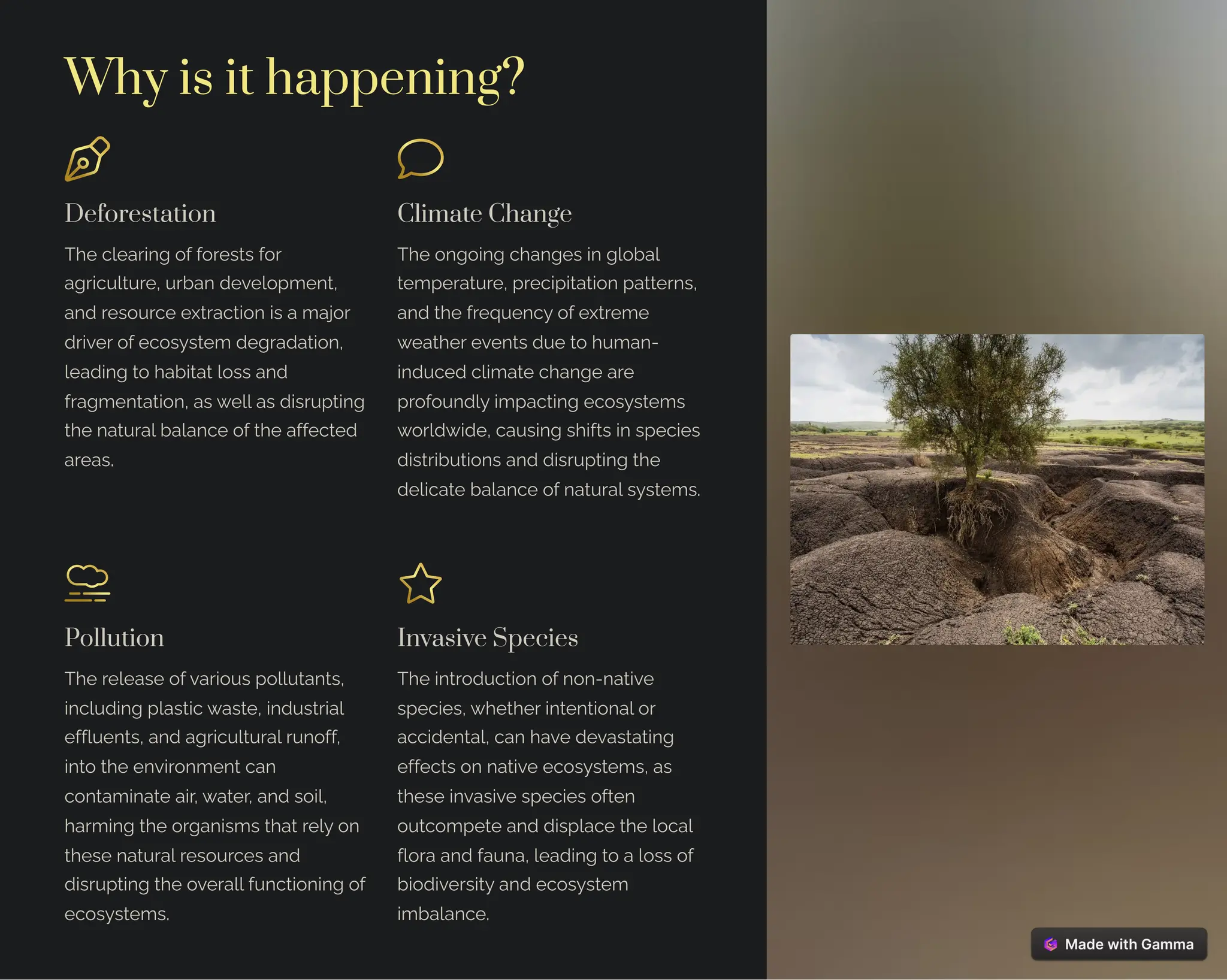Introduction-to-Ecosystems for presentation.pdf