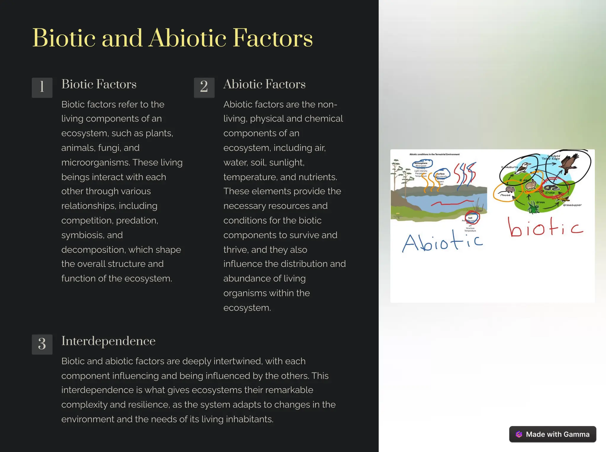 Introduction-to-Ecosystems for presentation.pdf