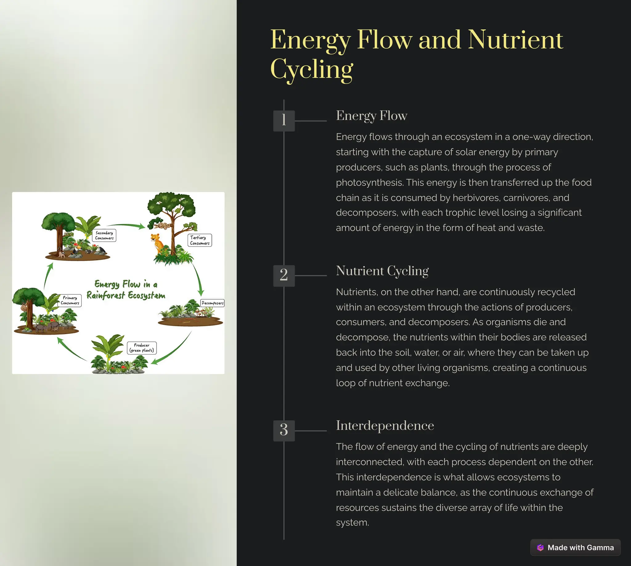 Introduction-to-Ecosystems for presentation.pdf