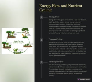 Introduction-to-Ecosystems for presentation.pdf
