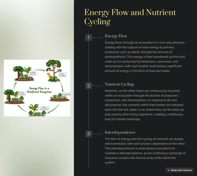 Introduction-to-Ecosystems for presentation.pdf