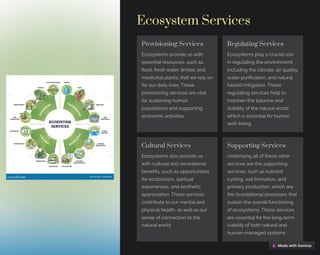 Introduction-to-Ecosystems for presentation.pdf