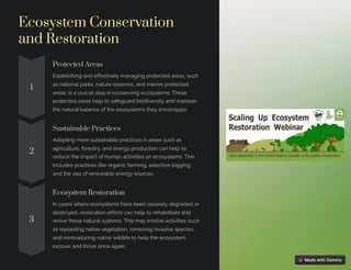 Introduction-to-Ecosystems for presentation.pdf