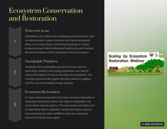 Introduction-to-Ecosystems for presentation.pdf