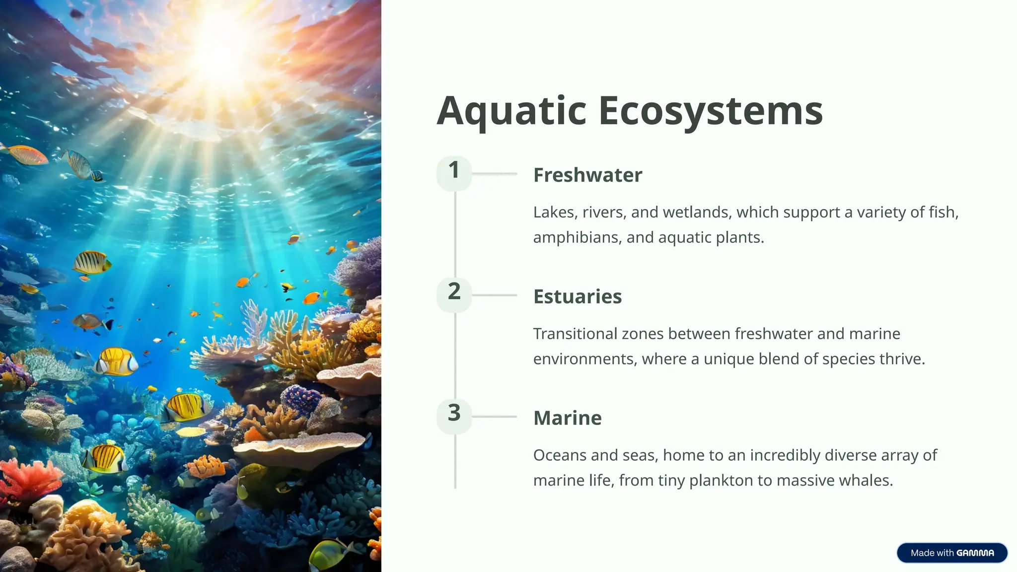 Introduction-to-Ecosystemgggggggggggs.pptx