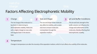 Introduction to Electrophoresis on Slide Share by Raj Kumar Mandal | PDF