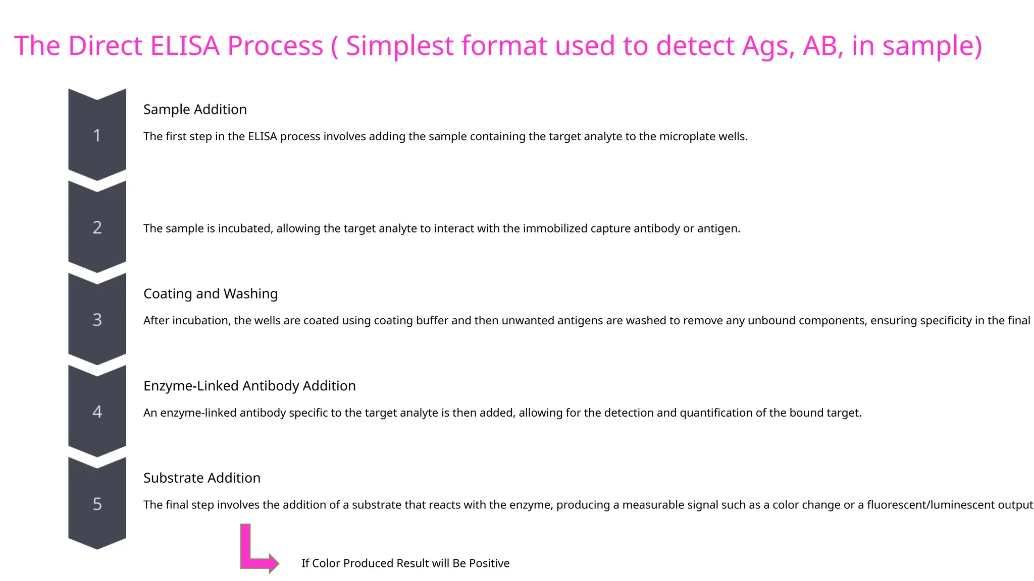 ELISA Basics: Easy Step-by-Step Guide EXplained | PPTX | Infectious ...