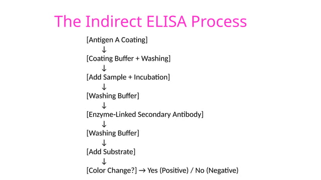 ELISA Basics: Easy Step-by-Step Guide EXplained | PPTX | Infectious ...