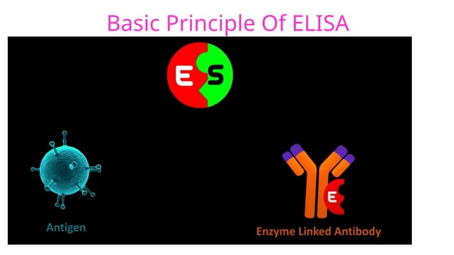 ELISA Basics: Easy Step-by-Step Guide EXplained | PPTX | Infectious ...