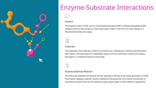 ELISA Basics: Easy Step-by-Step Guide EXplained | PPTX | Infectious ...