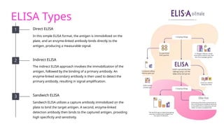 ELISA Basics: Easy Step-by-Step Guide EXplained | PPTX | Infectious ...
