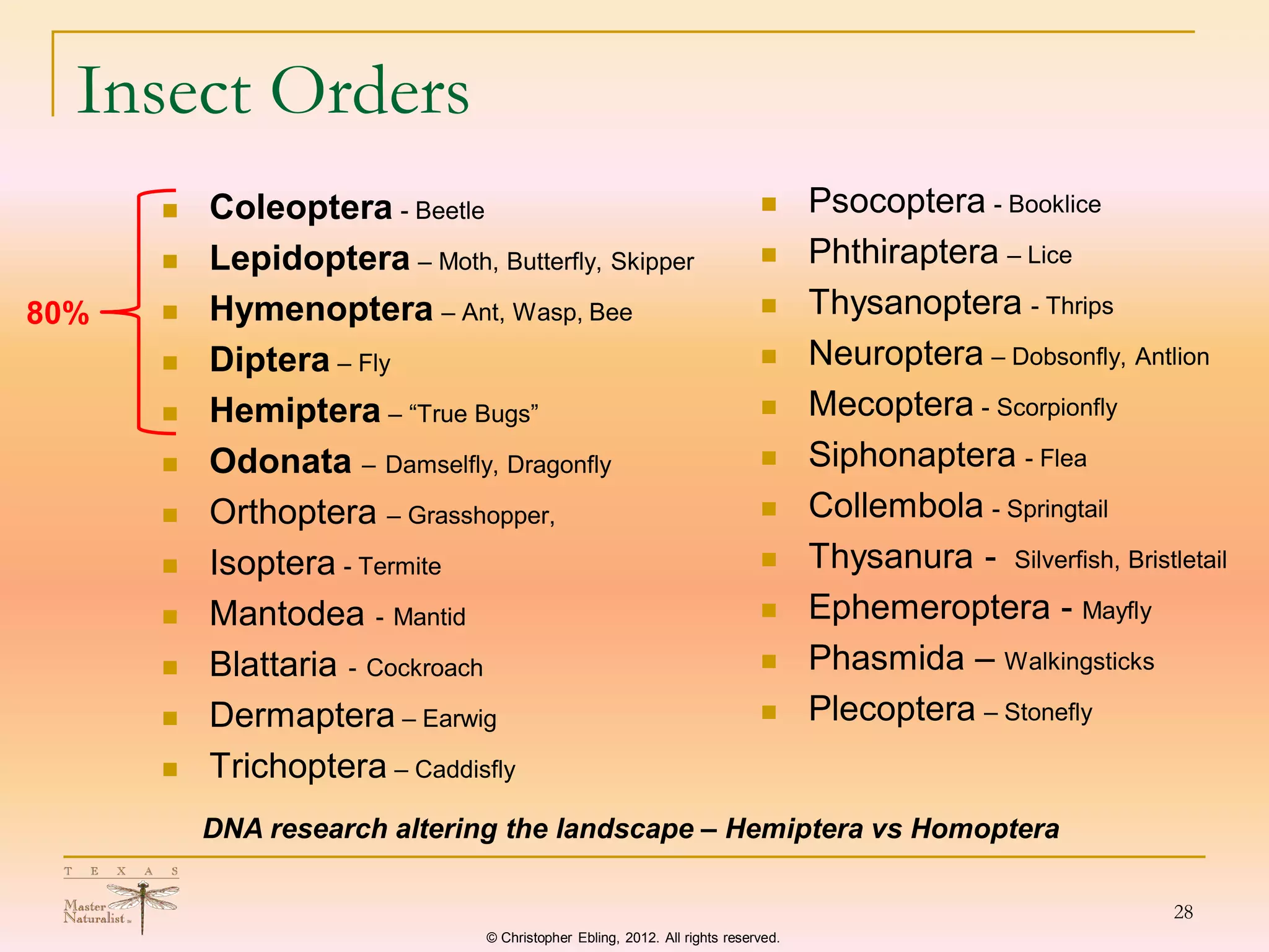 Introduction-to-Entomology-for-TMN.pdf