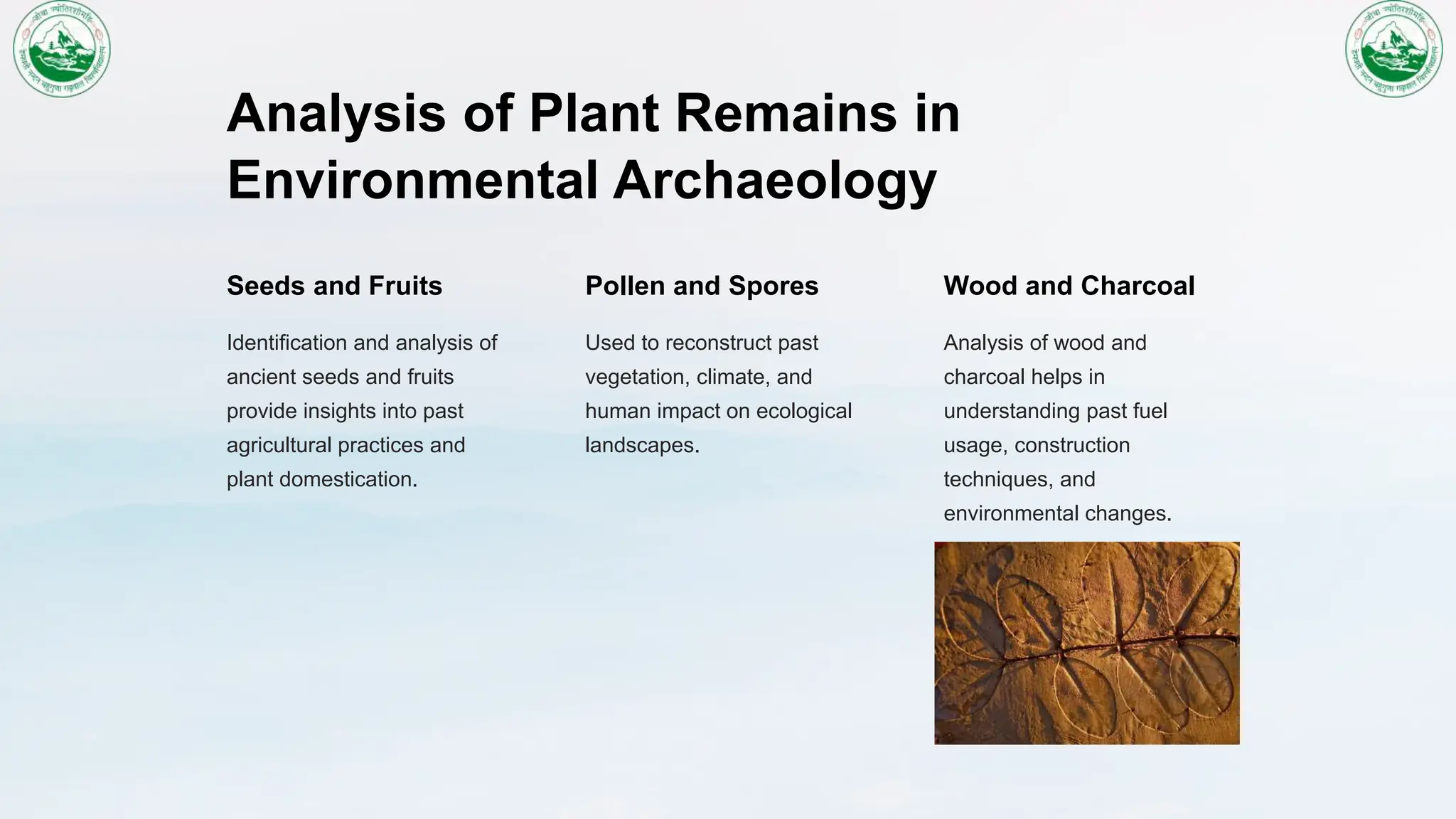 Introduction-to-Environmental-Archaeology.pptx