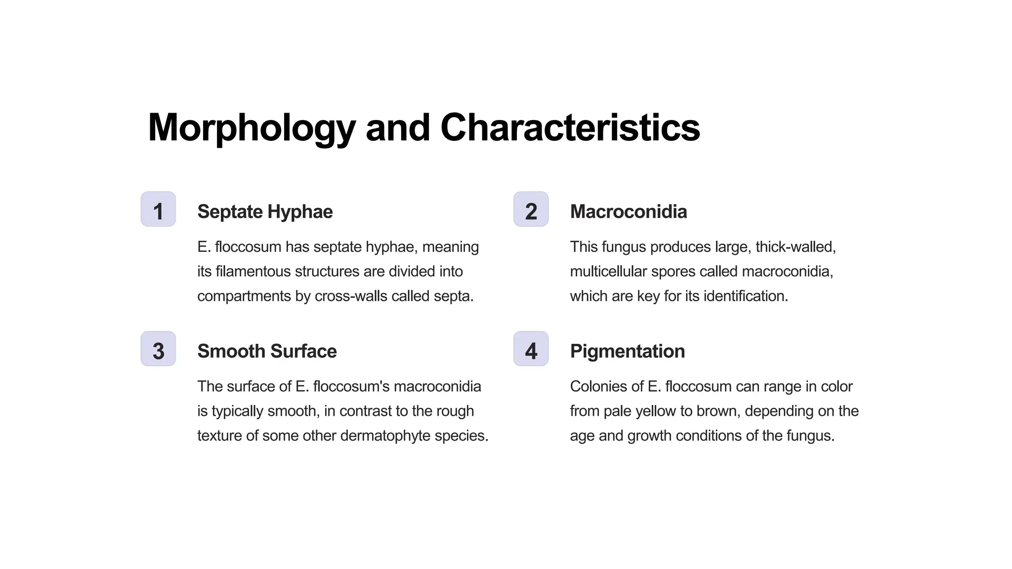 Introduction-to-Epidermophyton-floccosum.pptx