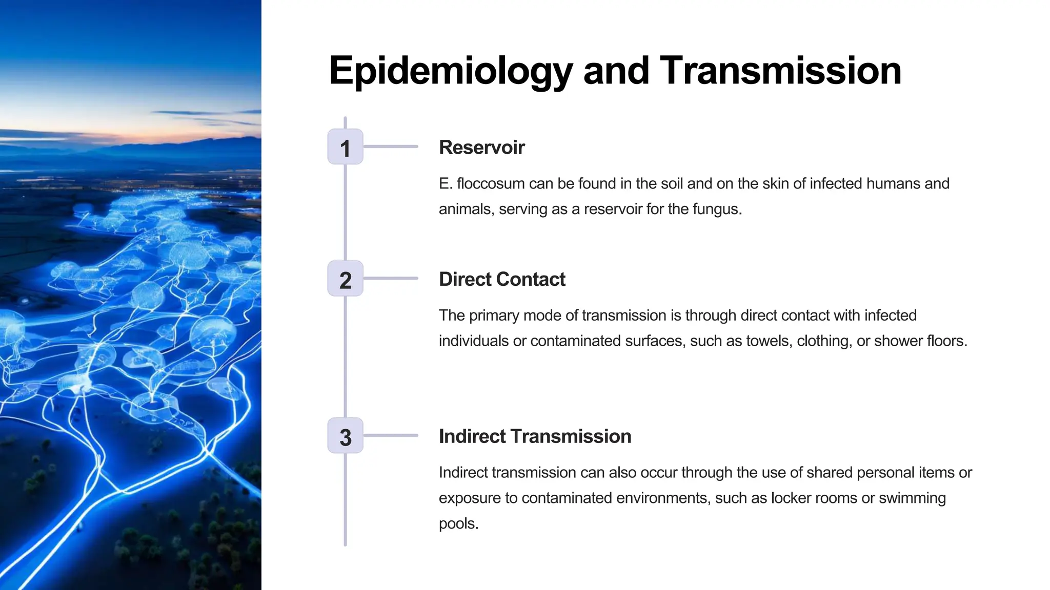 Introduction-to-Epidermophyton-floccosum.pptx