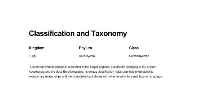 Introduction-to-Epidermophyton-floccosum.pptx | Skin and Dermatology ...