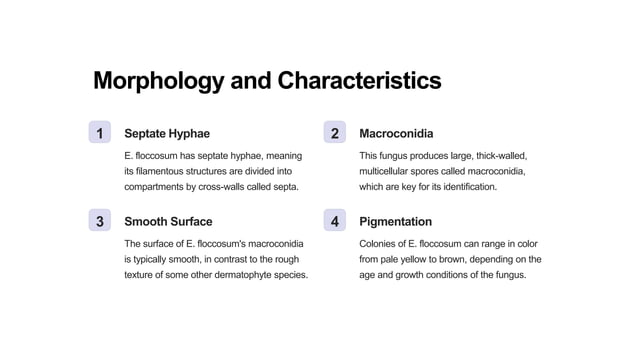 Introduction-to-Epidermophyton-floccosum.pptx | Skin and Dermatology ...