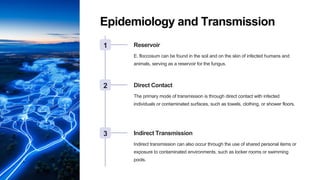 Introduction-to-Epidermophyton-floccosum.pptx