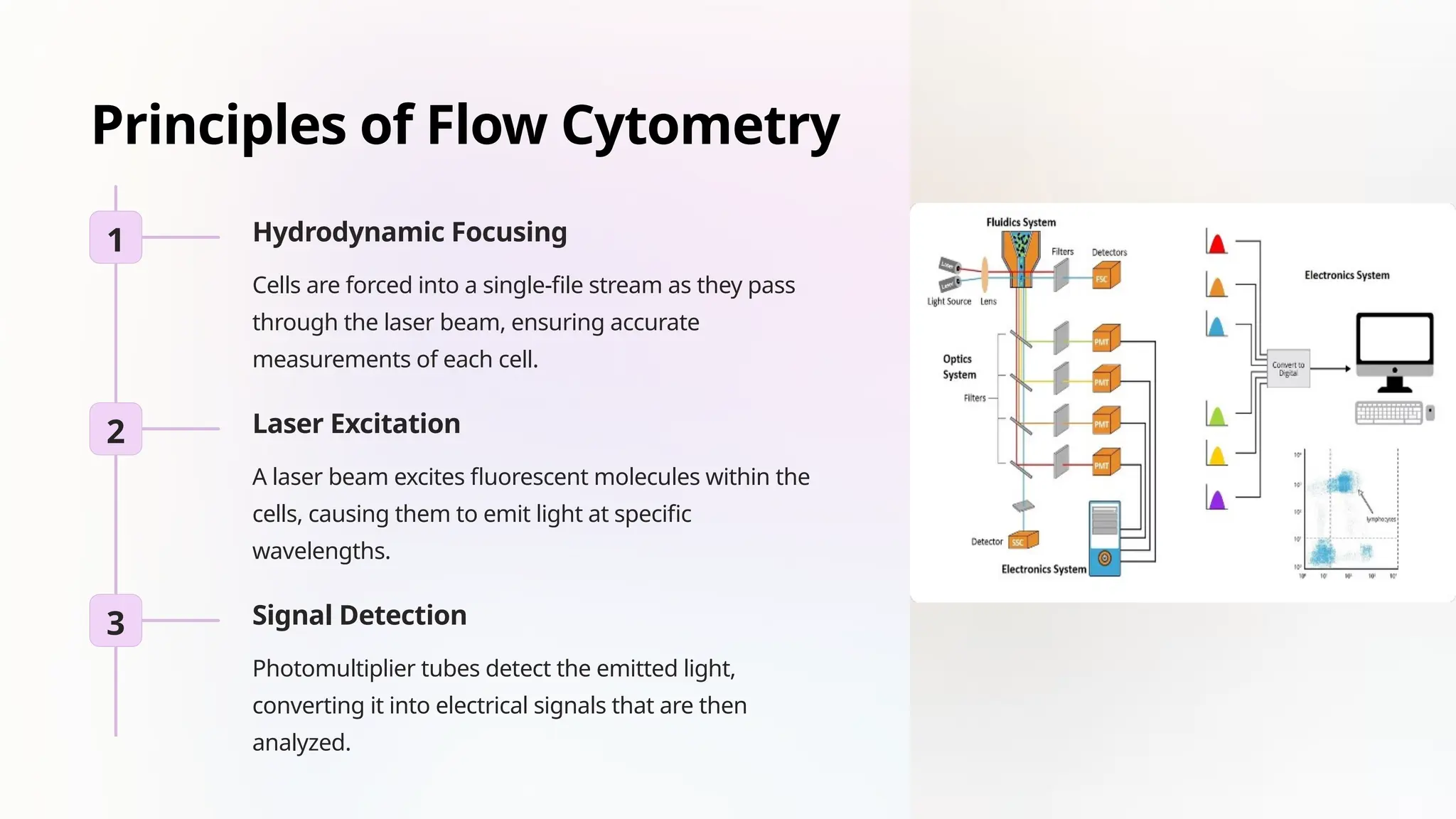 Introduction To Flow Cytometry Cancer Detection Method Ppt