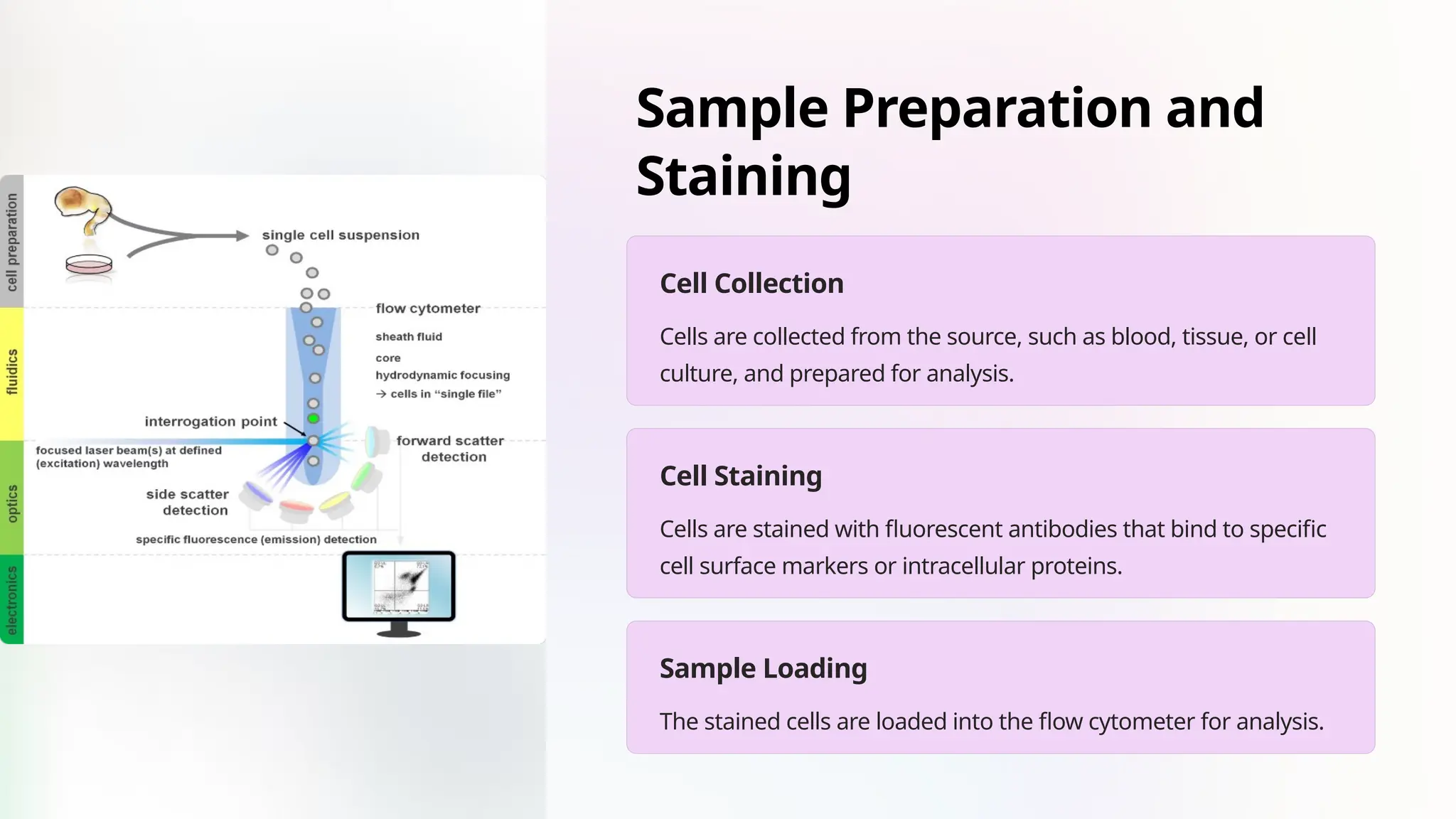 Introduction To Flow Cytometry Cancer Detection Method Ppt