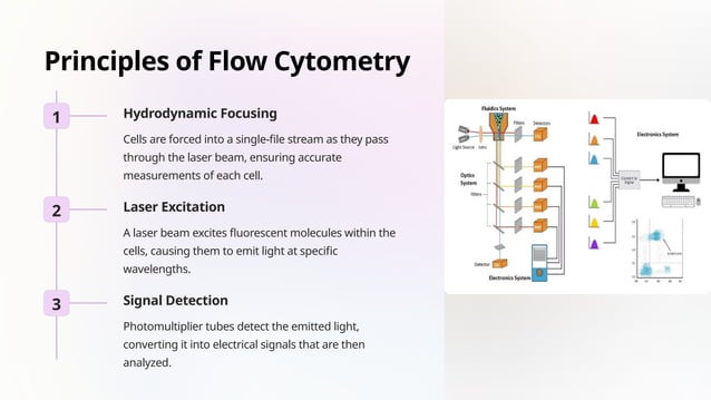 Introduction-to-Flow-Cytometry cancer detection method | PPT