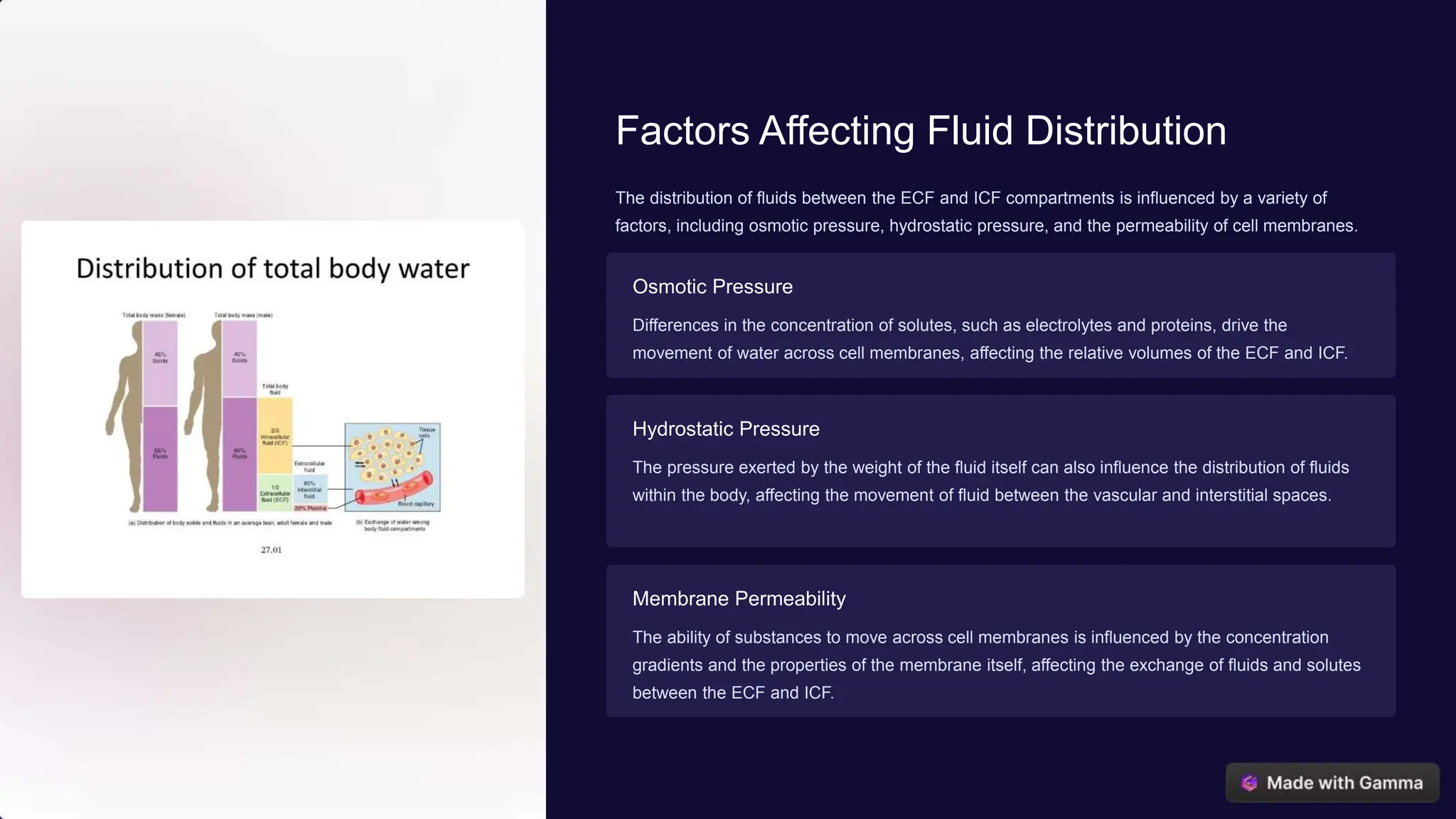 Introduction-to-Fluid-Compartments-of-the-Body.pptx