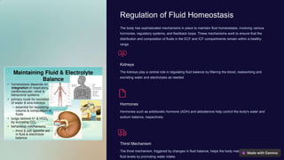 Introduction-to-Fluid-Compartments-of-the-Body.pptx
