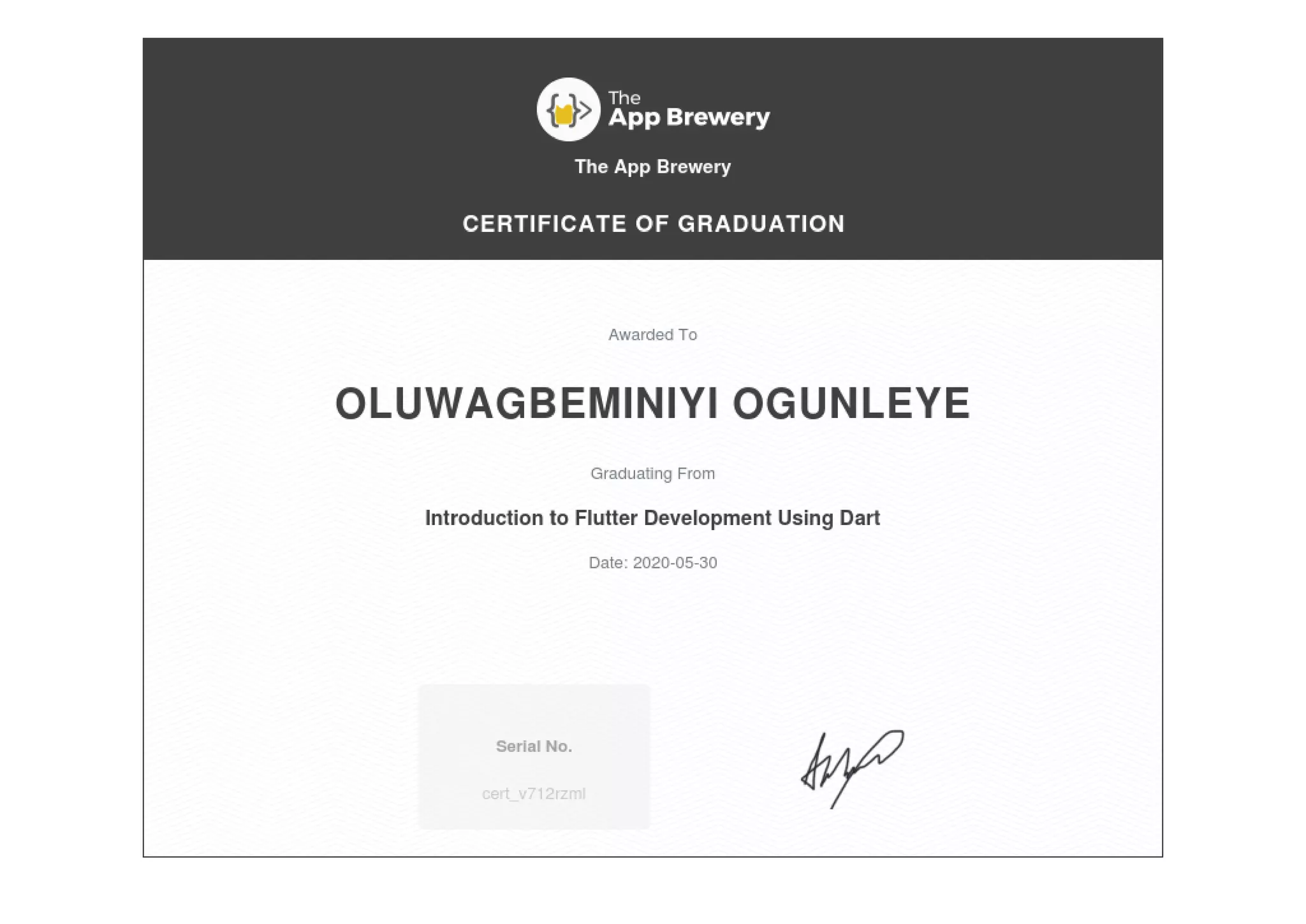 Introduction To Flutter Development Certificate Ppt
