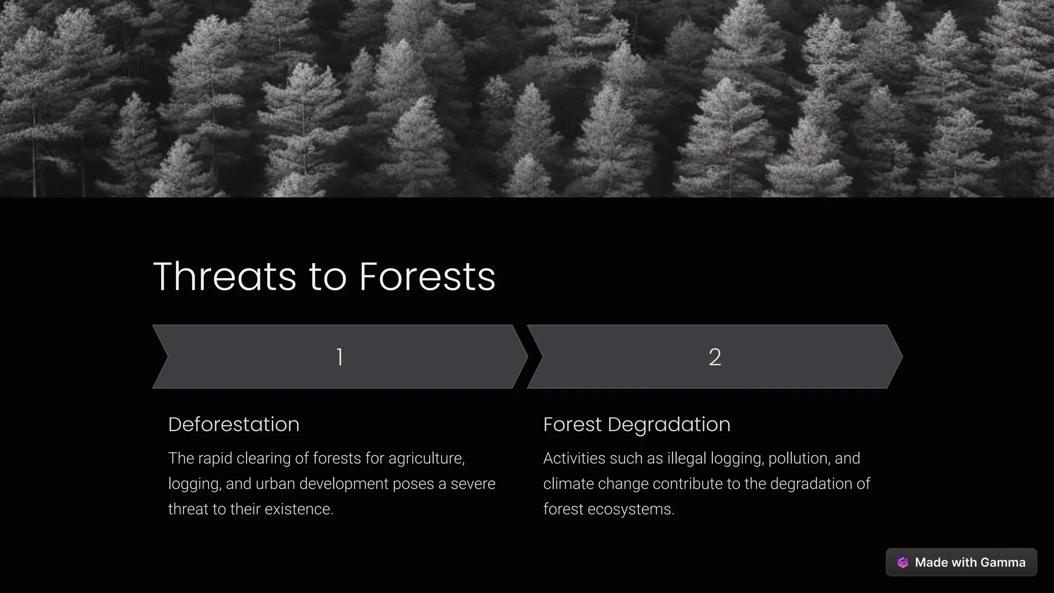 Introduction-to-Forests and their importance | PPT