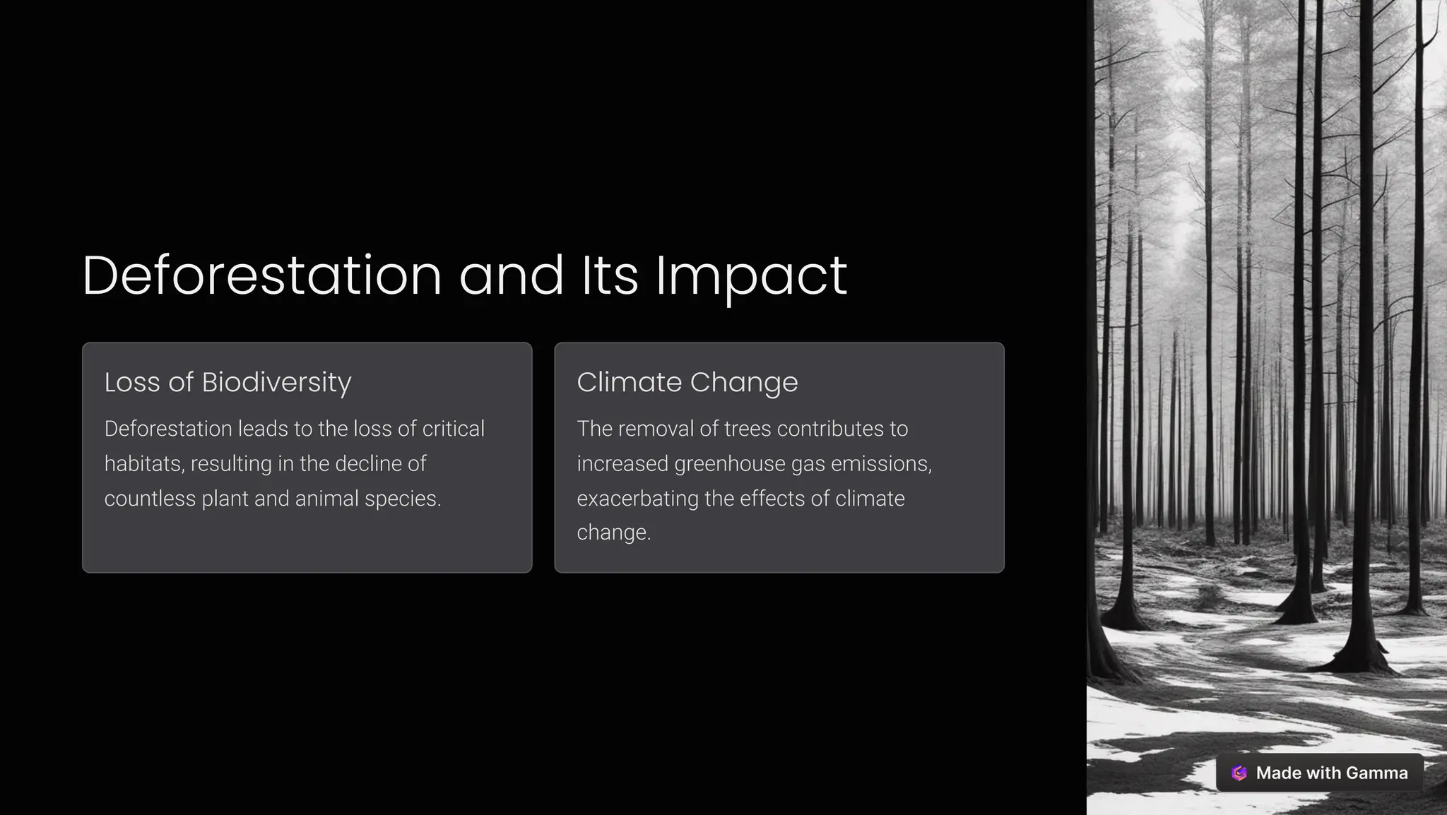 Introduction-to-Forests and their importance | PPT