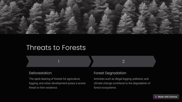 Introduction-to-Forests and their importance | PPT