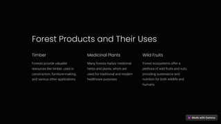 Introduction-to-Forests and their importance | PPT