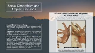 Introduction-to-Frog-Dissection 1st year.pdf