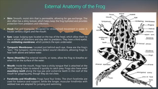Introduction-to-Frog-Dissection 1st year.pdf