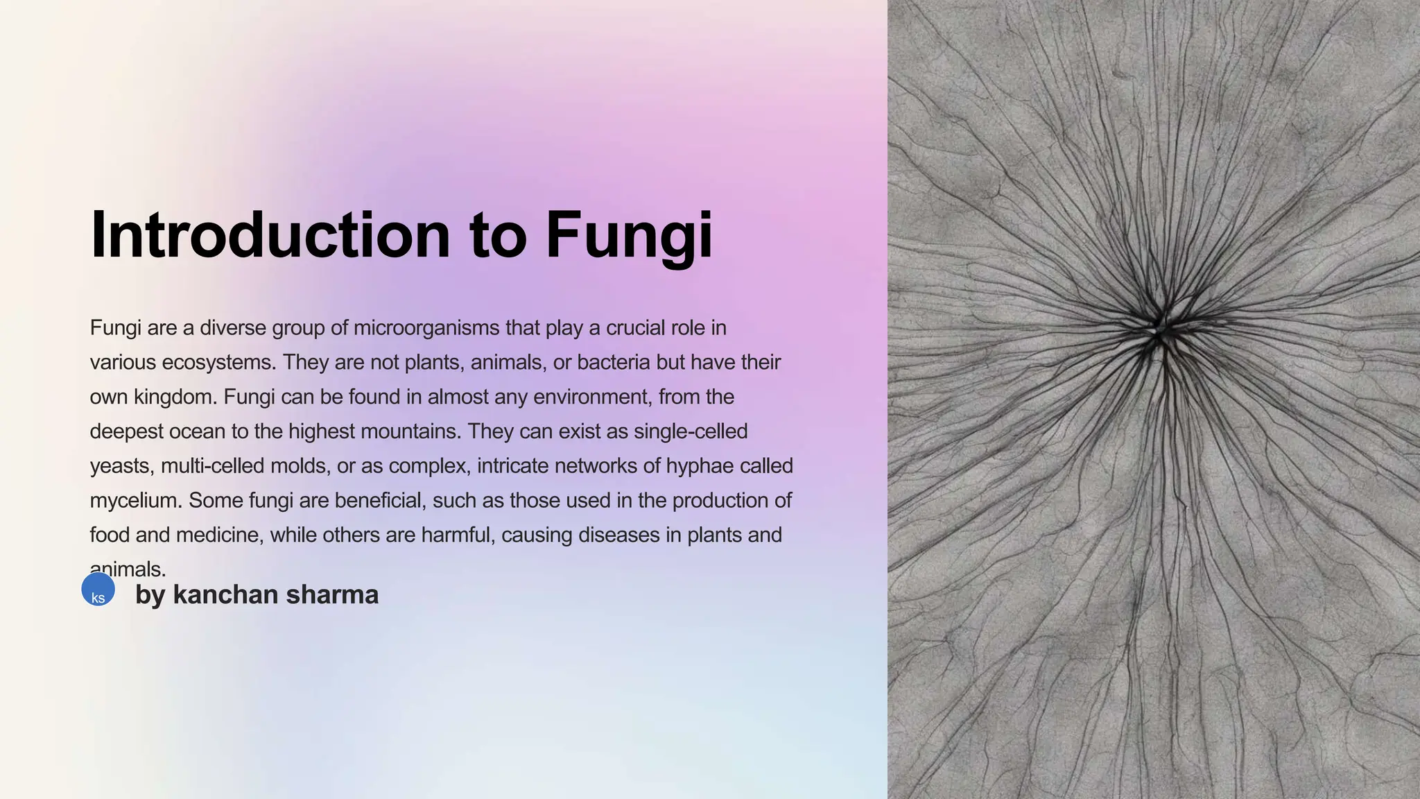 introduction to fungi. general characters of fungi. life cycle of ...