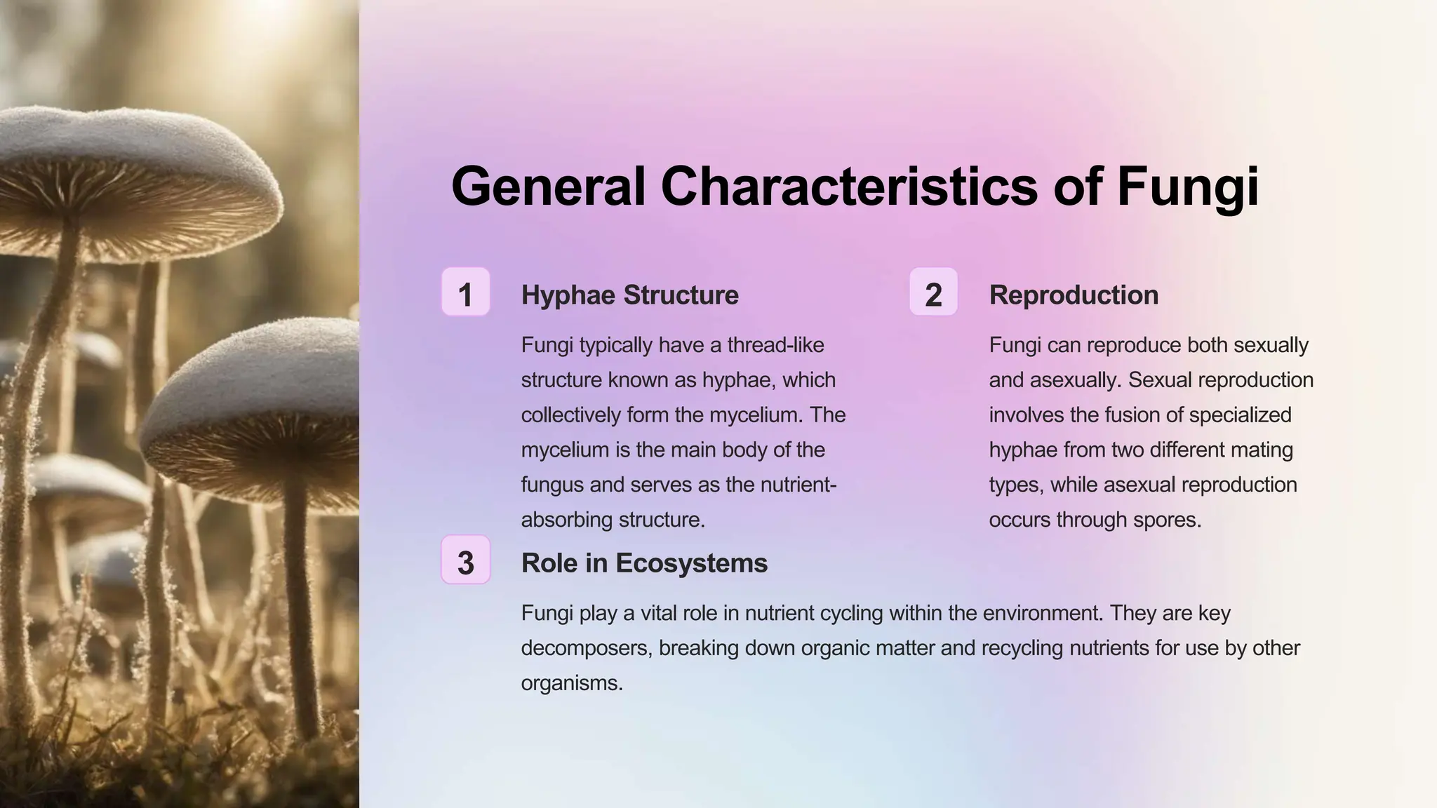 introduction to fungi. general characters of fungi. life cycle of ...
